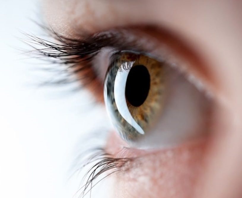 5 Fun Facts You (Probably) Didn’t Know About the Human Eye? - The Eagle ...